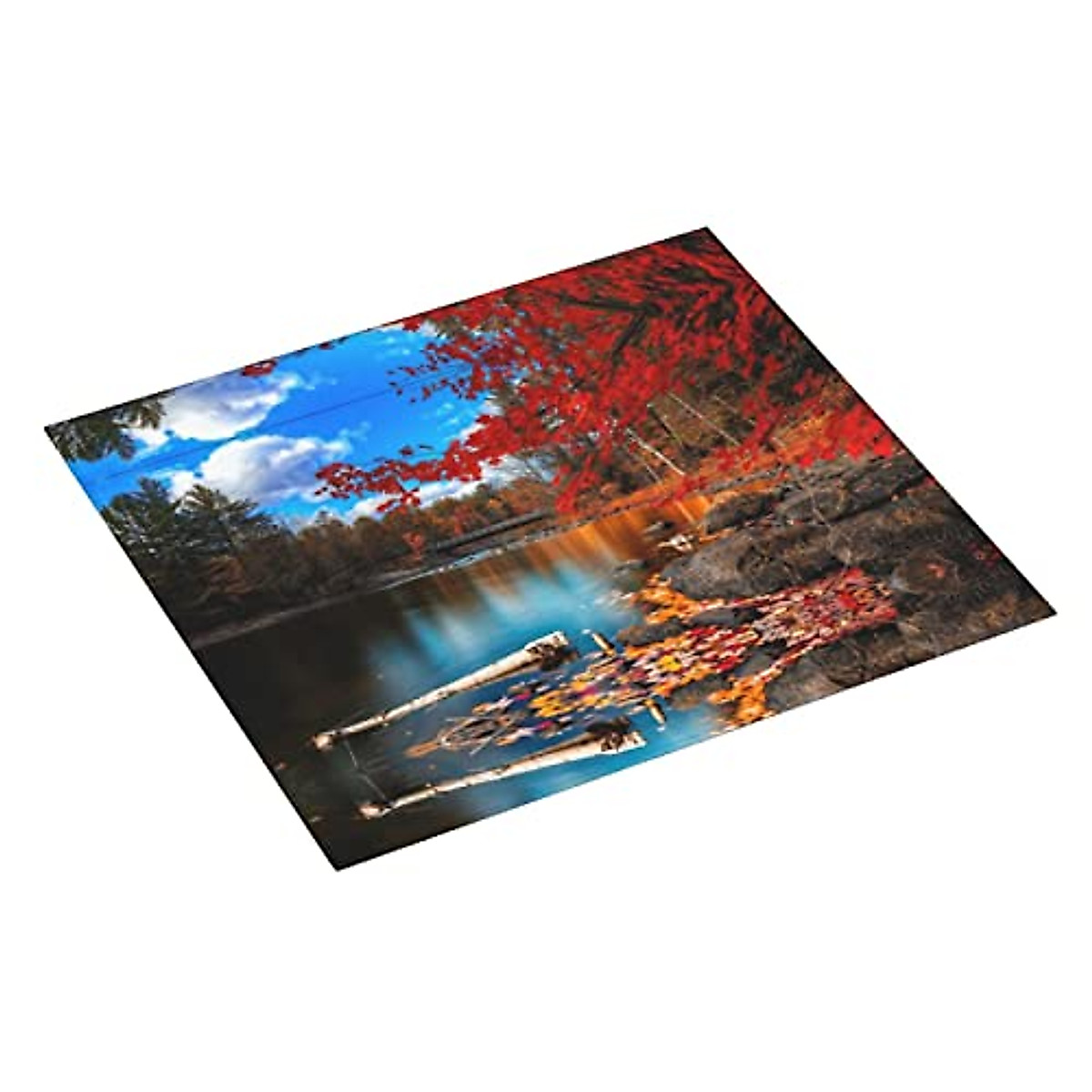 killarney national park Printed Drying Mat For Kitchen Ultra Absorbent Microfiber Dishes Drainer Mats Non-Slip Silicone Quick Dry Pad - 18 X 16inch