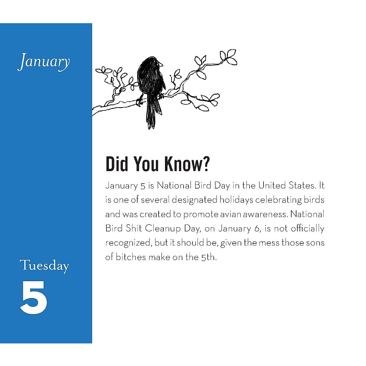 Dumb Birds of North America 2021 Daily Calendar: (One Page a Day Calendar of Funny Bird Facts, Humor Daily Calendar about Birds with Bird Artwork)