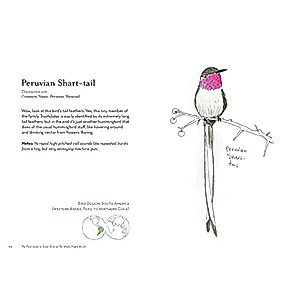 The Field Guide to Dumb Birds of the Whole Stupid World