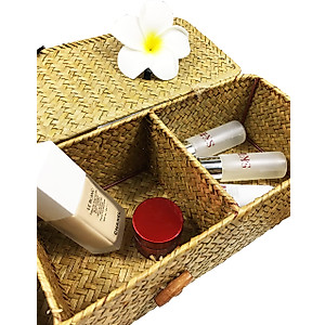 LA NINA 3-Section Rectangular Storage Basket with Lid, Tropical Style, Brown, Water Hyacinth