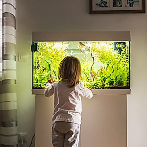 Kraken Bond 100% Silicone Aquarium Safe Sealant - Waterproof Bond to Glass, Non-Toxic Aquarium Sealer Clear for Freshwater & Saltwater Aquarium | 1 Pack, 10.1 Fl. Oz. Cartridge