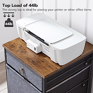 HOOBRO File Cabinet, 2-Drawer Filing Cabinet, Vertical Mobile Office Cabinet, Rolling Printer Stand, for A4/Letter Size Files, Nonwovens Drawer, for Home Office, Rustic Brown and Gray BFG21WJ01