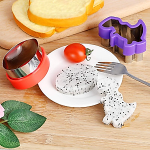8pcs Dinosaur Cookie cutters set, Stainless Steel Sandwich Cutters Cookie Cutters Vegetable cutters for Kids Baking, Bento Box and Food Decoration Tools for Kitchen