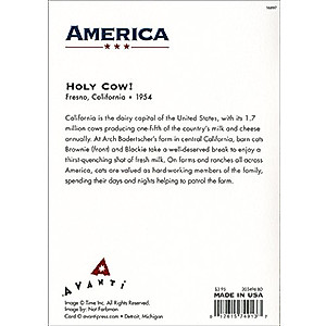 Cat Catching Milk Avanti America Collection Funny Birthday Card