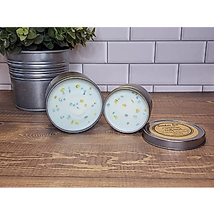 Sandra Sue Creations | Wickless Candle | All Natural | Highly Fragrant | 4oz and 8oz (White Tea & Sage, 4 oz)