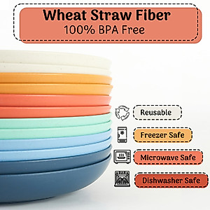 Walpck Wheat Straw Plates, Unbreakable Dinner Plates Set of 12, Dishwasher & Microwave Safe Plastic Plates Reusable, Lightweight Plates for kitchen (Dopamine, 9 IN)
