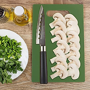 Lesbin 4-Piece Small Plastic Cutting Board with Handles