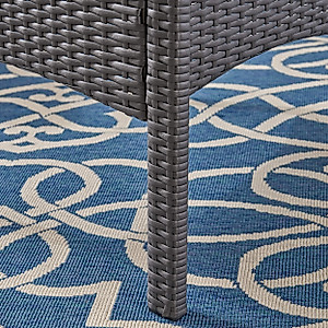 Christopher Knight Home 305810 Otto Outdoor Wicker Club Chair, Gray and Silver(Set of 2)