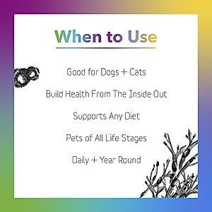 InClover Daily Multi Cat & Dog Vitamin - Canine & Feline Vitality Powder - Immunity Boost with Organic Blueberry, Seaweed, Turkey Tail Mushroom & Postbiotic Fibers - Critical Immune Defense Supplement