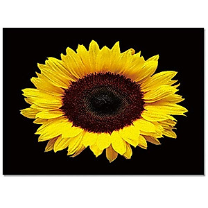 Large Rectangular Area Rugs 5' x 7' Living Room, Farm Sunflower Round Durable Non Slip Rug Carpet Floor Mat for Bedroom Bedside Outdoor Black Backdrop Yellow Floral