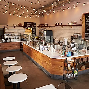 Westinghouse 5282000 1 Watt (15 Watt Equivalent) S14 Frosted Filament LED Light Bulb, Medium Base