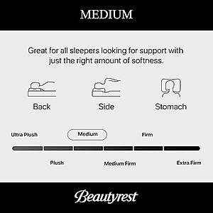 Beautyrest Silver BRS900 12.25” Medium Queen Mattress, Cooling Technology, Supportive, CertiPUR-US, 100-Night Sleep Trial, 10-Year Limited Warranty,White