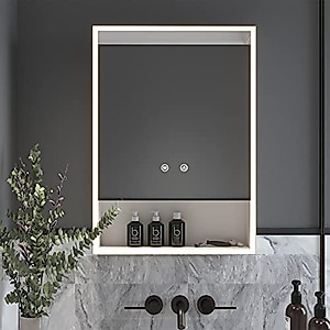 LALAHOO Bathroom Medicine Cabinet with Mirror,20" x 28" Lighted Medicine Cabinet with Large Storage,LED Medicine Cabinets for Bathroom with Shelves,Dimmer and Anti-Fog
