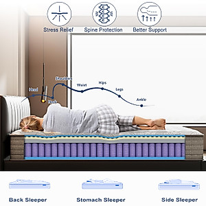Jum Blueemo Twin Mattress 12 inch Colchones Twin Memory Foam Mattress Twin Size Mattress Hybrid Mattress Medium Firm/Fireproof Grade III Anti Pilling/Extra Lumbar Support/Pressure Relief/Certi PUR-US
