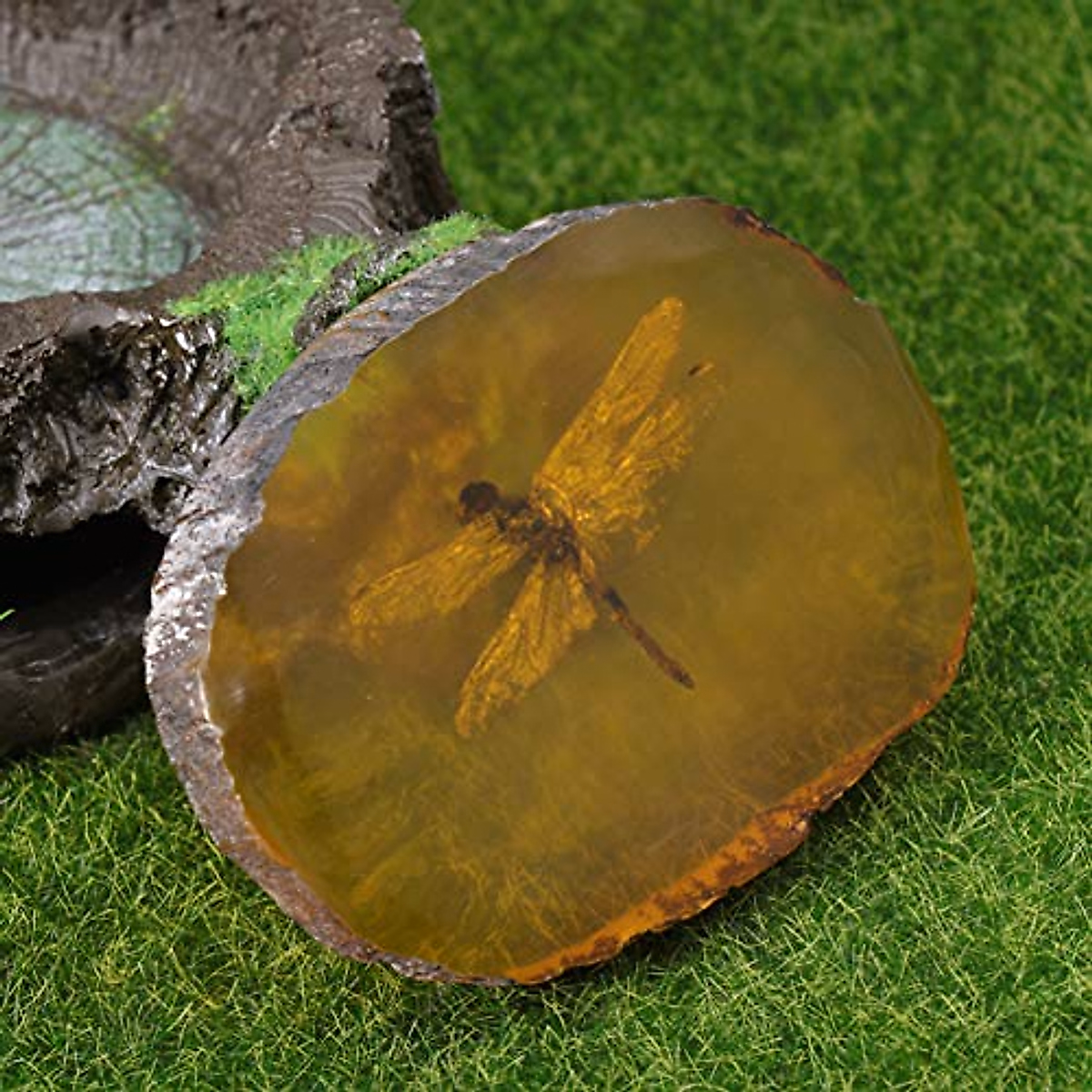 IMIKEYA Amber Fossil with Insects Samples Stones Crystal Specimens Home Decorations Collection Pendant Dragonfly