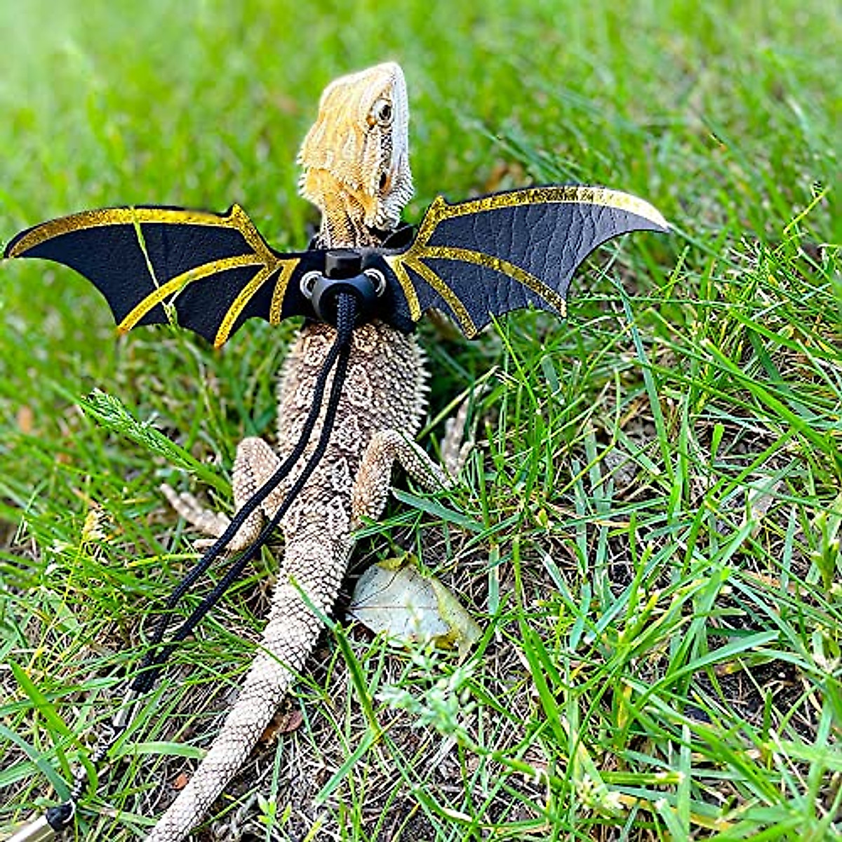 ADOGGYGO Bearded Dragon Lizard Leash Harness - Adjustable Cool Leather Wing Lizard Reptile Harness Leash for Bearded Dragon Lizard Reptiles (Black)