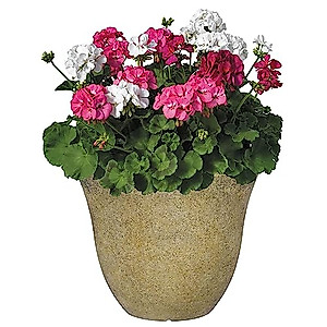 Classic Home and Garden Honeysuckle Resin Flower Pot Planter, Fossil Stone, 15"