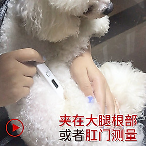 Pet Dog Thermometer cat Dog Thermometer pet cat Thermometer Electronic Thermometer Dog Thermometer pet Temperature pet Fairy