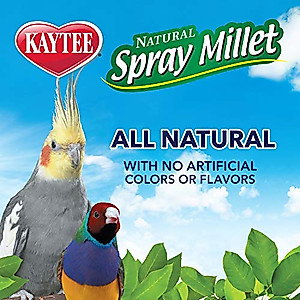 Kaytee Spray Millet Treat for Pet Birds, 7 Ounce