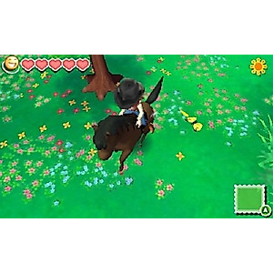 Story of Seasons (Nintendo 3DS)