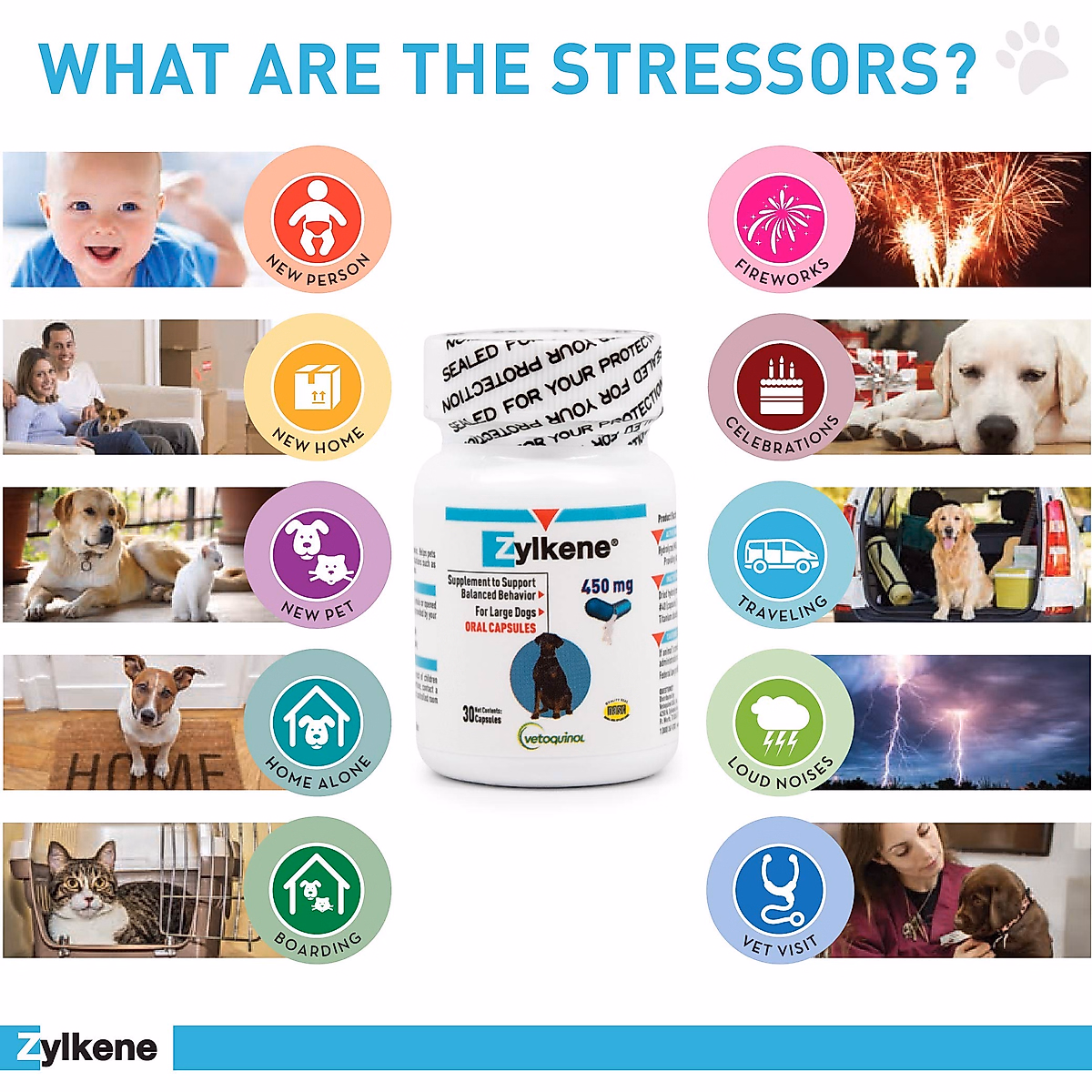 Vetoquinol Zylkene Behavior Support Capsules for Large Dogs 33-132lbs, Calming All Natural Milk Protein Supplement, Helps Relieve Dog Anxiety During Fireworks and Thunder, 450mg
