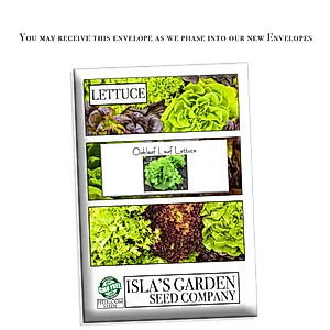 Oakleaf Leaf Lettuce Seeds for Planting, 1000+ Heirloom Seeds Per Packet, (Isla's Garden Seeds), Non GMO Seeds, Botanical Name: Lactuca Sativa, Great Home Garden Gift