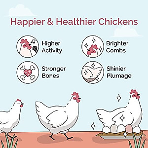 Mile Four | Chicken Scratch | 100% US Grown Grains, Organic, Non-GMO, Soy-Free, Non-Medicated, Whole Grain Chicken Treats for Hens & Roosters | Scratch for Chickens, Ducks & Waterfowl | 23 lbs.