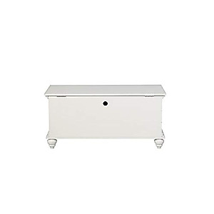 Cedar Storage Chest White Casual Transitional Rectangle Includes Hardware