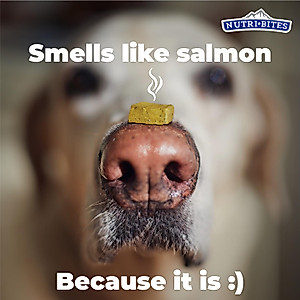 Nutri Bites Freeze Dried Salmon Dog Food 2-Pack: 28 oz Total Weight - Single Ingredient: Wild Salmon - Protein & Omega 3 Pet Supplement - Use as Kibble Topper or Dog Treats for Dogs - Made in Canada