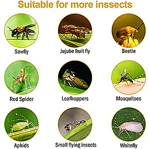 Dwcom 20 Packs Fly Tape, Fly Strips, Fly Paper Strips Roll Ribbon, Sticky Fruit Fly Traps Hanging Catcher Gnat Fungus Trap Killer for Indoors Outdoors