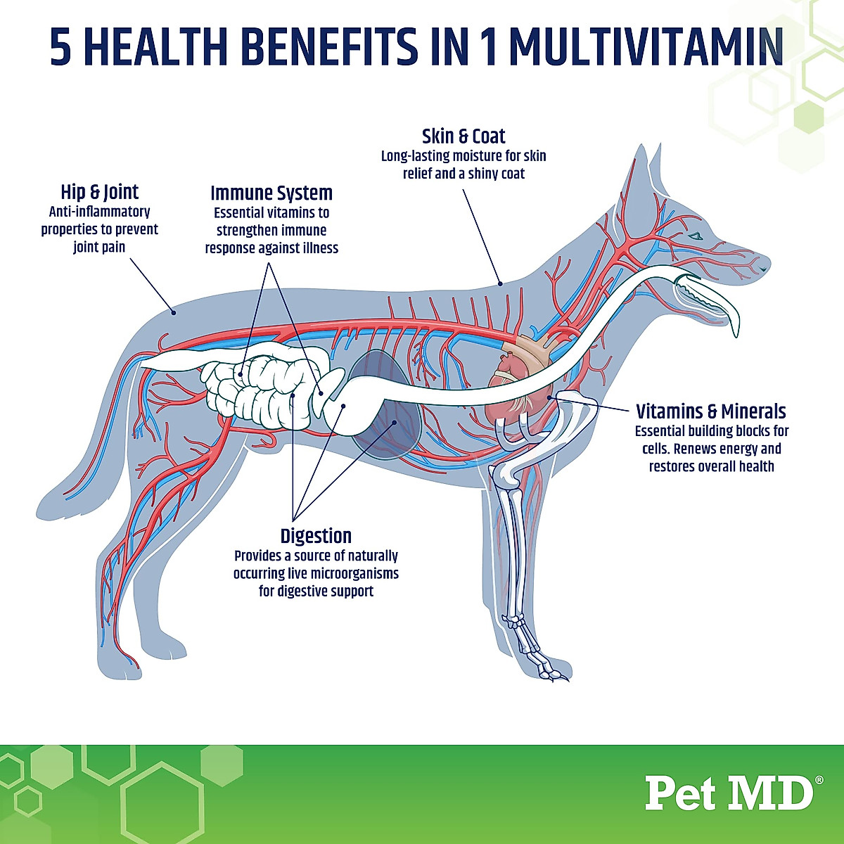 Pet MD 5in1 Multivitamin & Advanced Hip & Joint Soft Chew Bundle