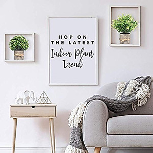 Farmhouse Decor for the Home, Farmhouse Bathroom Decorations - Modern Farmhouse Decorations for Farmhouse Bathroom or Farmhouse Table - Eucalyptus Plant Rustic Set of 3 Artificial Plants (GREEN)