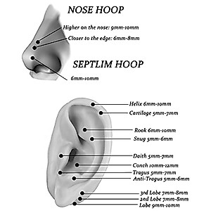 Vsnnsns 16G Stainless Steel Hinged Segment Clicker Nose Rings Hoops Septum Jewelry Lip Ring Hoop Cartilage Tragus Conch Helix Rook Hoop Earrings Piercing Jewelry for Women Men 10MM Mix Colro 16 Gauge