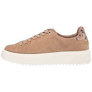 Steve Madden womens Charlie Sneaker, Taupe Suede, 11 US