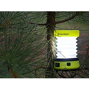 Hybridlight Solar Rechargeable Lantern/Cell Phone Charger. 150 Lm. Built In Solar Panel, Hi-Vis Yellow