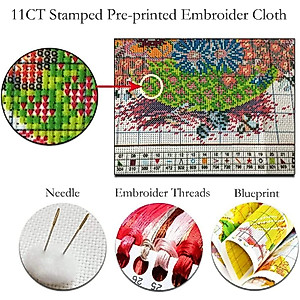 COKYIS Cross Stitch Kits for Adults Stamped Poodle 11CT Printed Cross Stitch Kits,Counted Embroidery Kits for Beginner Wall Art Home Decoration 40x50cm