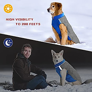 Cold Weather Dog Coats, Waterproof Dog Winter Coat Thick Padded Cozy Vest Reflective Warm Dog Vest Dog Snow Jacket with Leash Attachment Pet Winter Clothes for Small Medium Large Dogs, Red, Blue
