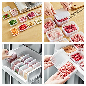 RabyLeo Japanese-style refrigerator storage box one person eats frozen meat sub-compartment box frozen fresh-keeping food sauce sealed sub-package box. (Transparent & Small 4-Piece Set)