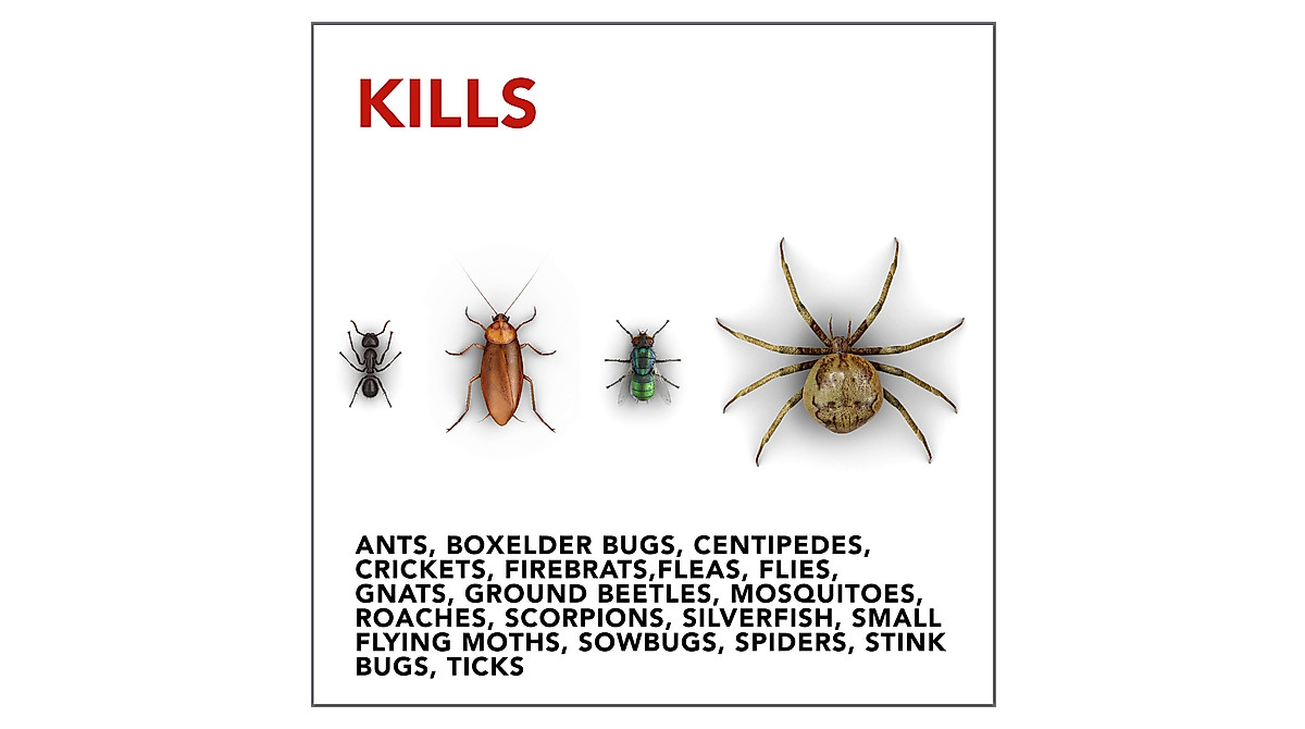 Raid MAX Bug Barrier 30oz Trigger - Long-Lasting Protection
