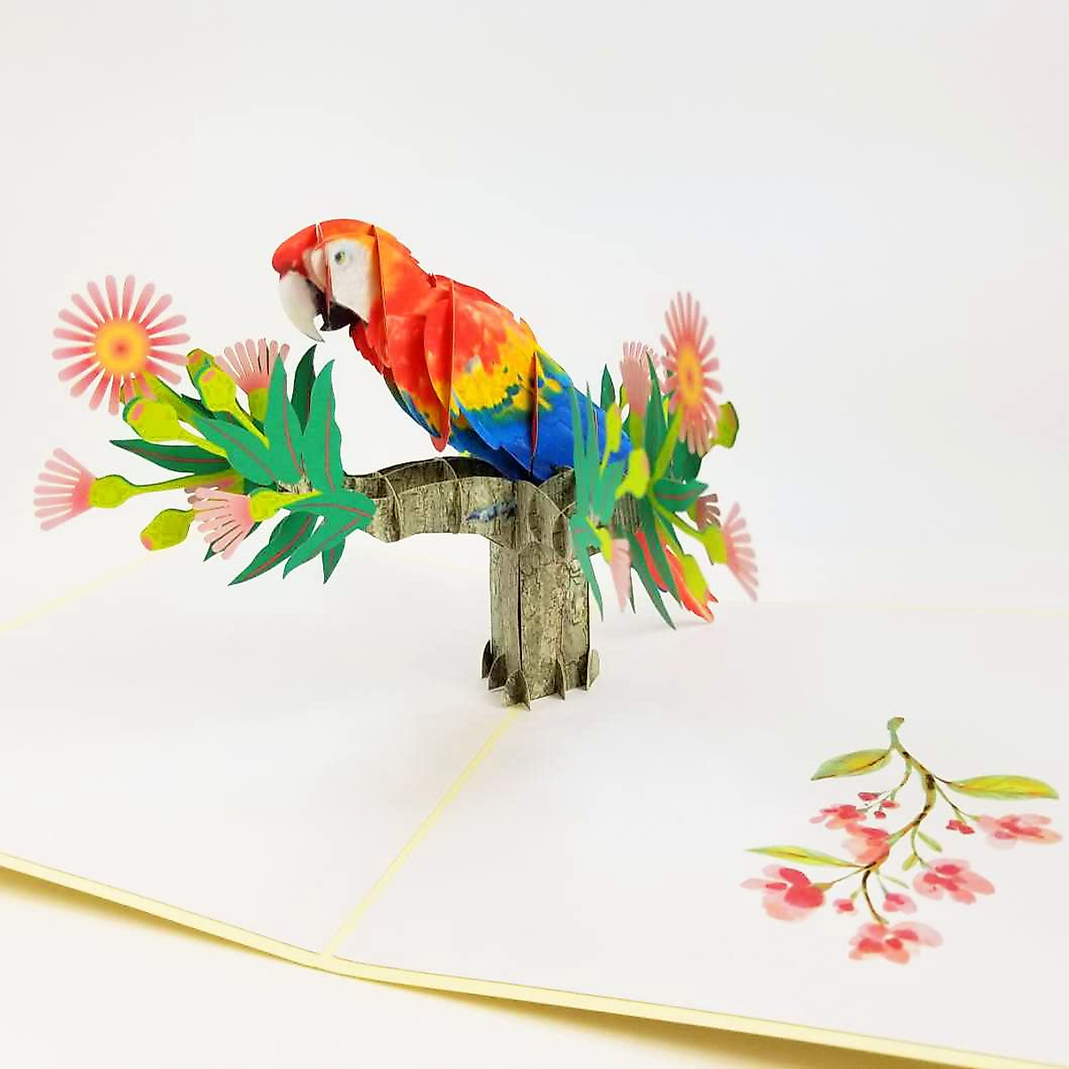 POP CARD EXPRESS Colorful Parrot Pop Up Birthday Card - Happy Birthday Pop Up Card for son, daughter, wife, friends, Nature, Wild Animal, Bird lovers (Colorful Parrot Pop Up Card)