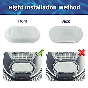 PET STANDARD Replacement Water Filter & 12 Pack Replacement Pre-Filter Sponges Compatible with PETLIBRO® Stainless Steel Pet Water Fountain Model #PLWF003, 67oz/2L, Cat Water Fountain Pack of 12