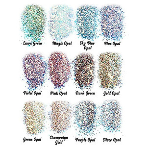 LET'S RESIN Opal Chunky Glitter for Resin, 12 * 10g Craft Glitter Powder for Tumblers/Slime, Iridescent Glitter Chameleon Glitter Sequins Festival Decor(Each 0.35oz)