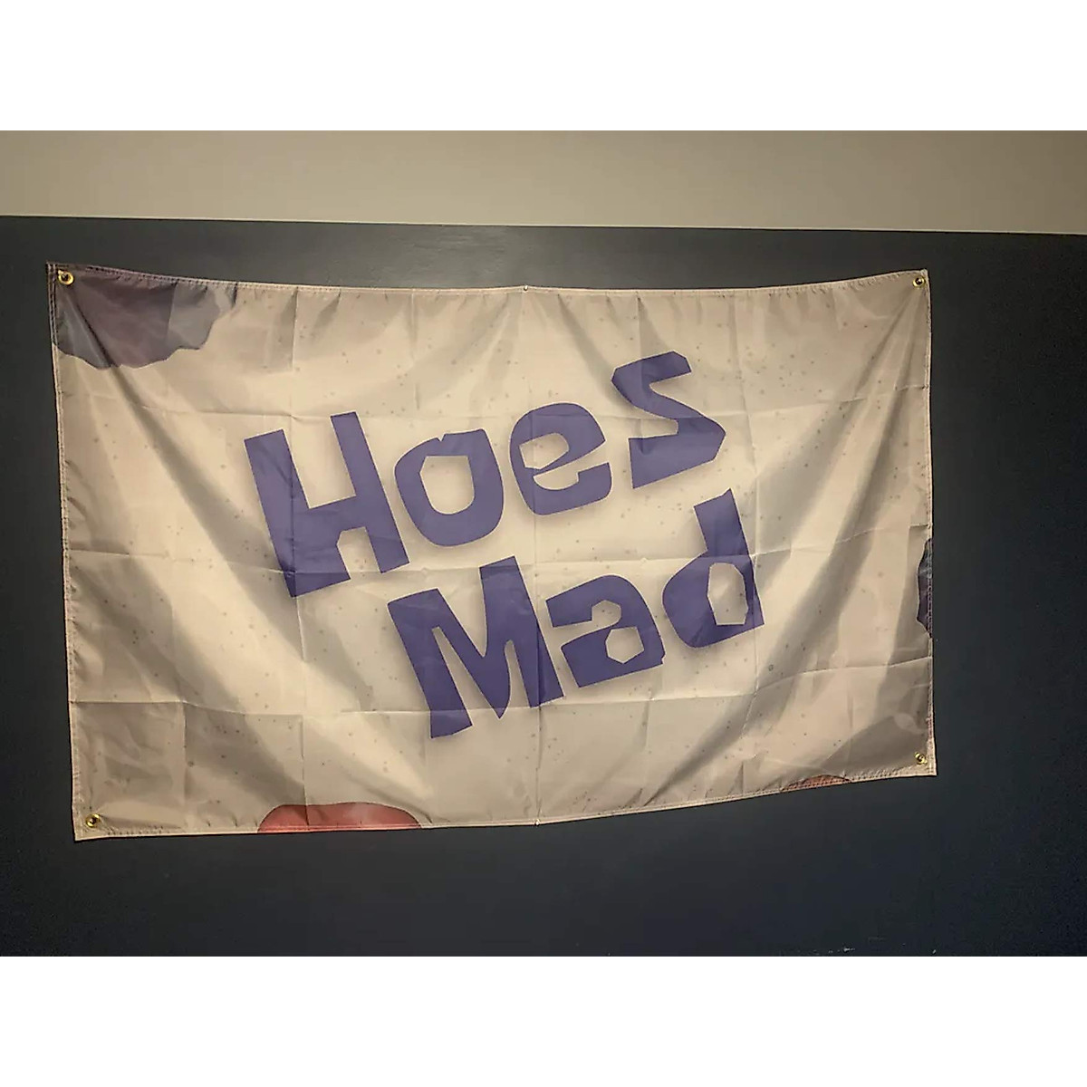 Probsin Hoes Mad Flag,3x5 Feet Banner,Funny Poster UV Resistance Fading & Durable Man Cave Wall Flag with Brass Grommets for College Dorm Room Decor,Outdoor,Parties,Gift,Tailgates