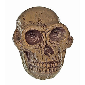 KLUTZ Make Your Own Bath Bombs Activity Kit