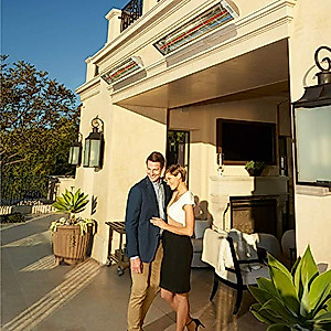 Infratech C-3024 SS Stainless Steel 61.25” Single Element Fixture 3000 Watt, 240 Volt, Stainless Steel