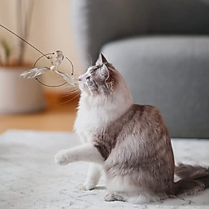 FUKUMARU Cat Wand Toy, 35.5 Inch Cat Feather Propeller Toy with Bell, Steel Wire Cat Toy for Indoor Cats with Natural Feather, Solid Wood Handle an Extra Cat Toy Feather Replacement