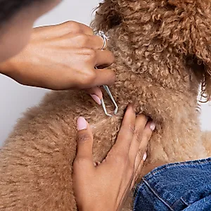 Tweezerman Pet Tick Removal Tweezer, Tick Removal Tool for Dogs and Cats