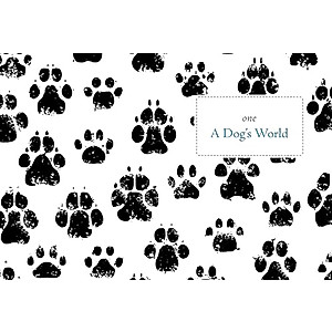 Dog Blessings: Poems, Prose, and Prayers Celebrating Our Relationship with Dogs