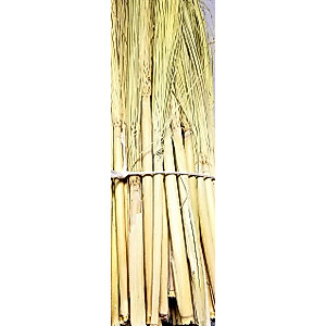 Craft Broom Corn with Stalks 24-36" Length…