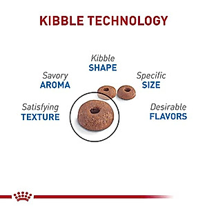 Royal Canin Feline Care Nutrition Weight Care Adult Dry Cat Food, 3 Lb Bag